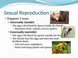 ASEXUAL and SEXUAL REPRODUCTIONfor teaching types of reproduction | PPTX