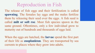 asexual ans sexual reproduction.pptx