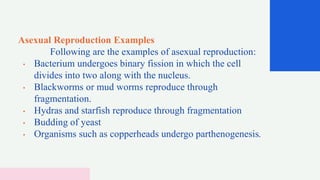 asexual ans sexual reproduction.pptx