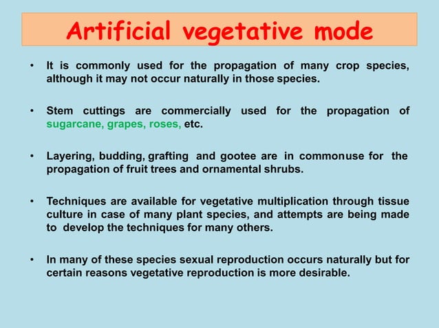 Asexual mode of reproduction in plants | PPT