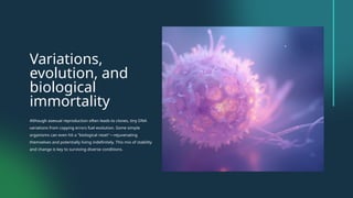 Asexual Reproduction PowerPoint Presentation | PPTX