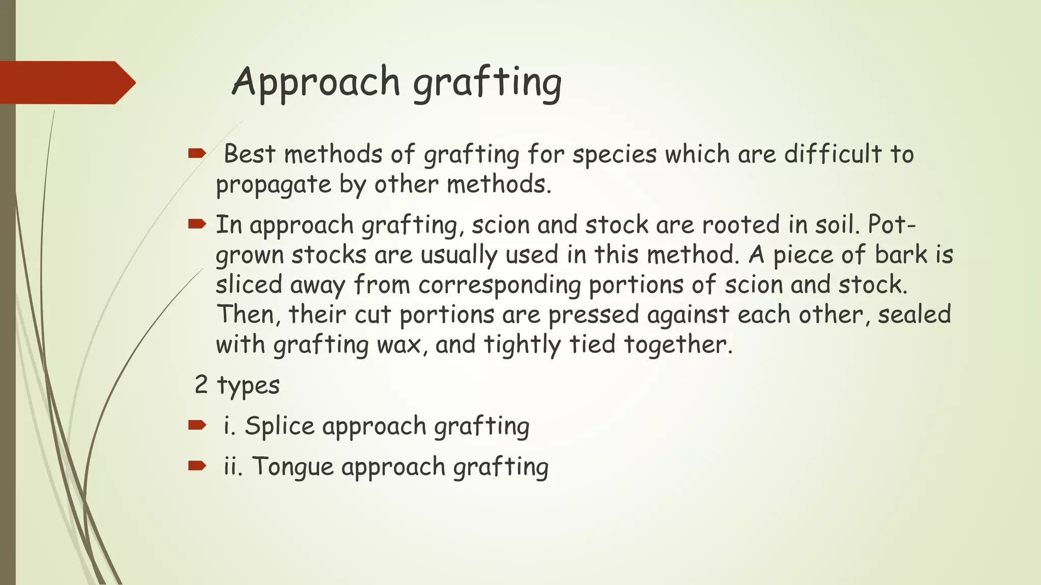 Asexual propagation.pptx