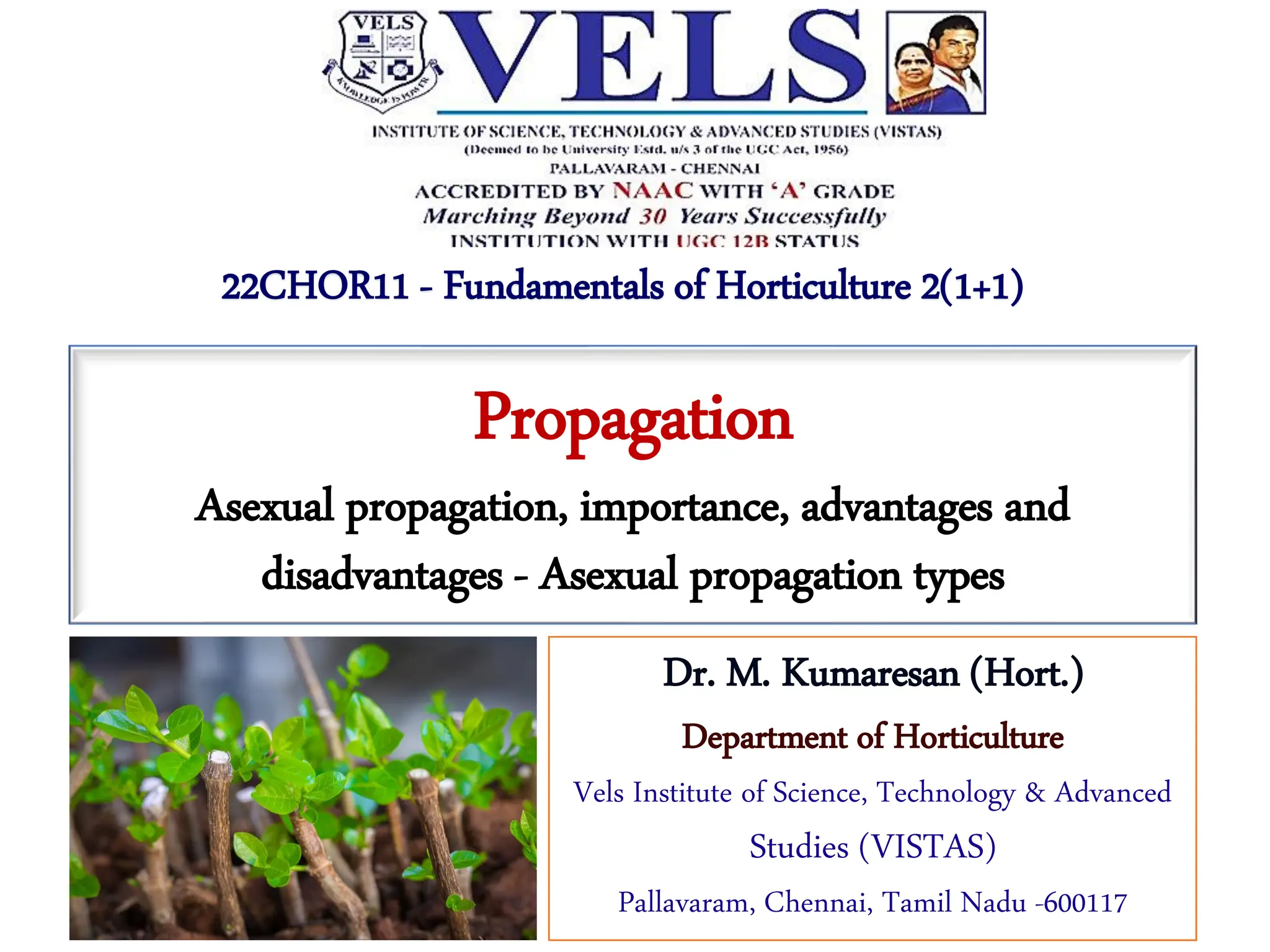 Asexual propagation, importance, advantages and disadvantages .pdf