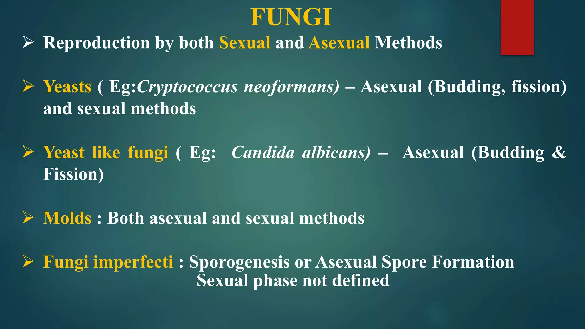 Asexual reproduction in Fungi -Dr C R Meera | PPTX