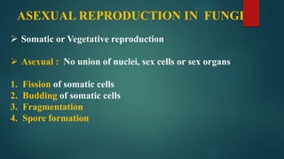 Asexual reproduction in Fungi -Dr C R Meera | PPTX