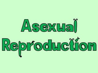 Asexual Reproduction | PPT