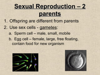 Asexual and sexual reproduction 4.04