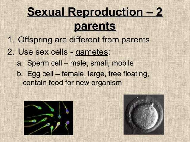 Asexual and sexual reproduction 4.04