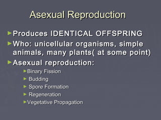 Asexual Reproduction | PPT