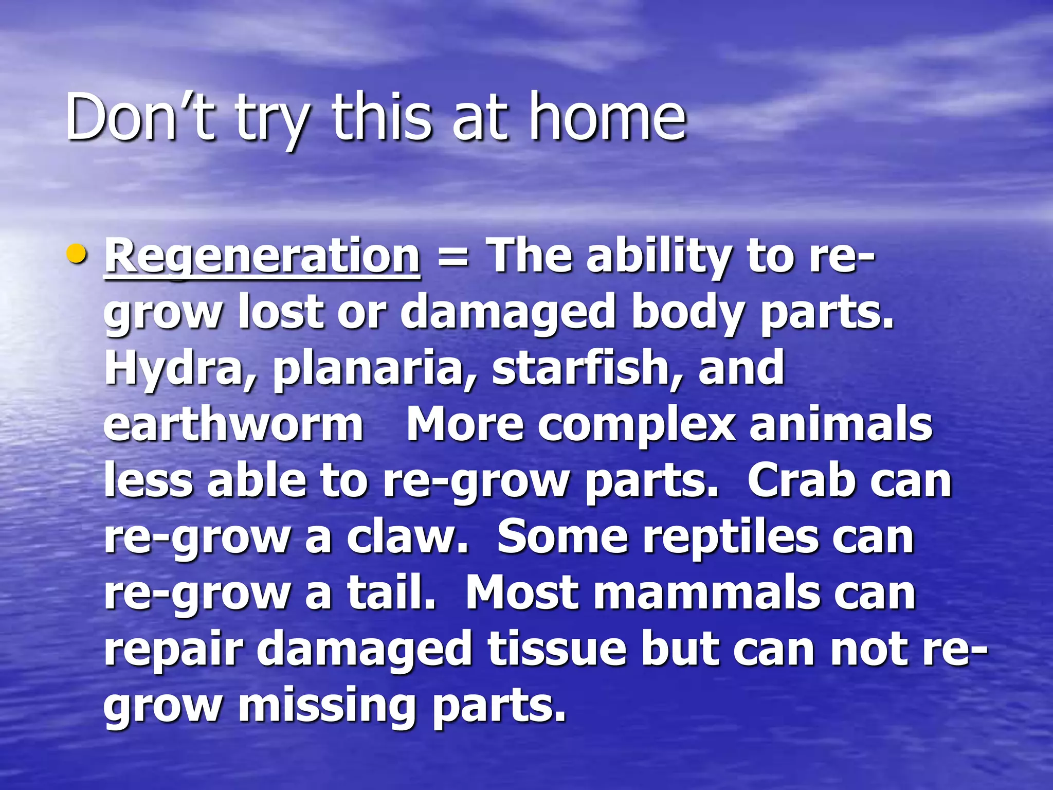 Asexual Reproduction Ppt