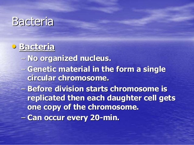 Asexual Reproduction