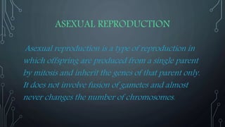 Asexual reproduction.ppt | Reproductive Health | Diseases and Conditions