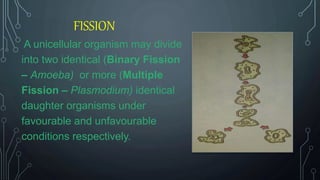 Asexual reproduction.ppt