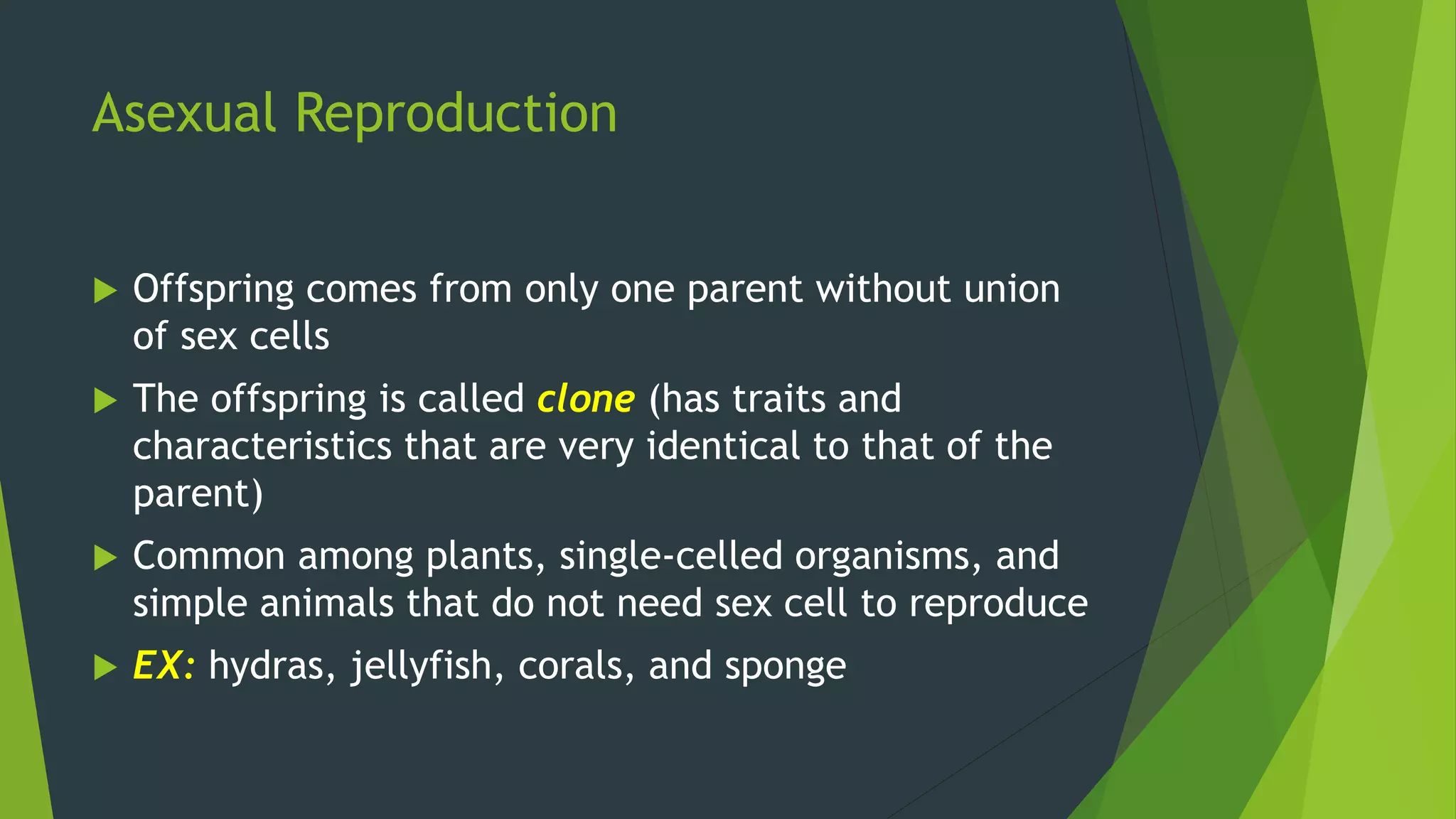 Asexual reproduction | PPT