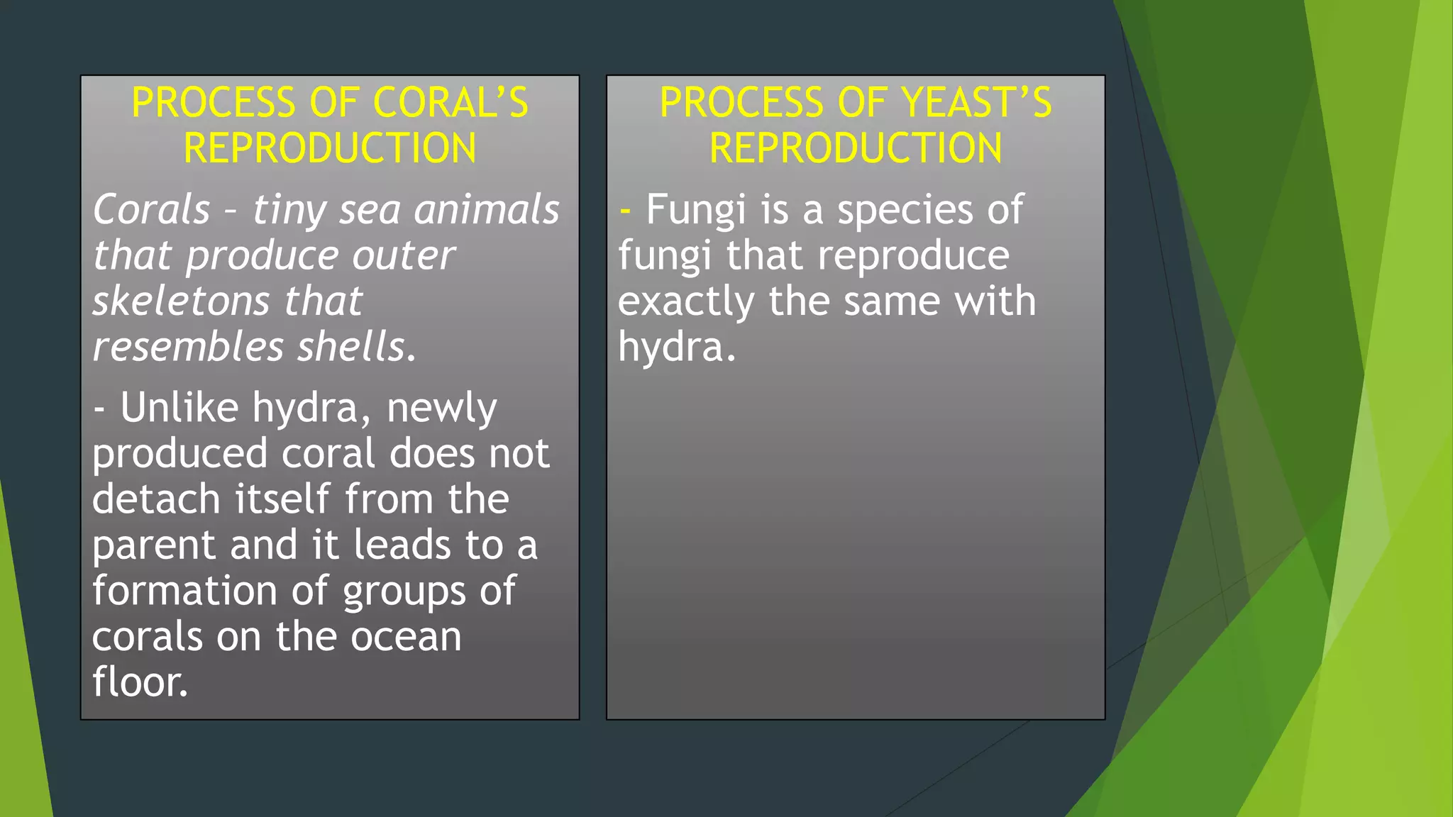 Asexual reproduction | PPT