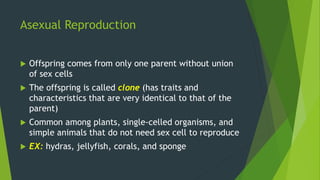 Asexual reproduction | PPT