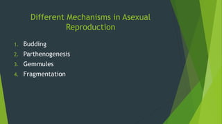 Asexual reproduction | PPT