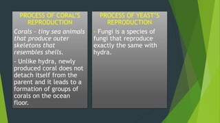Asexual reproduction | PPT