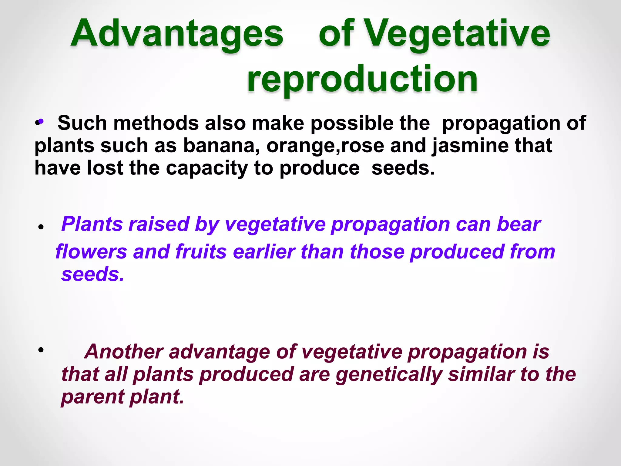 Asexual reproduction.pptx