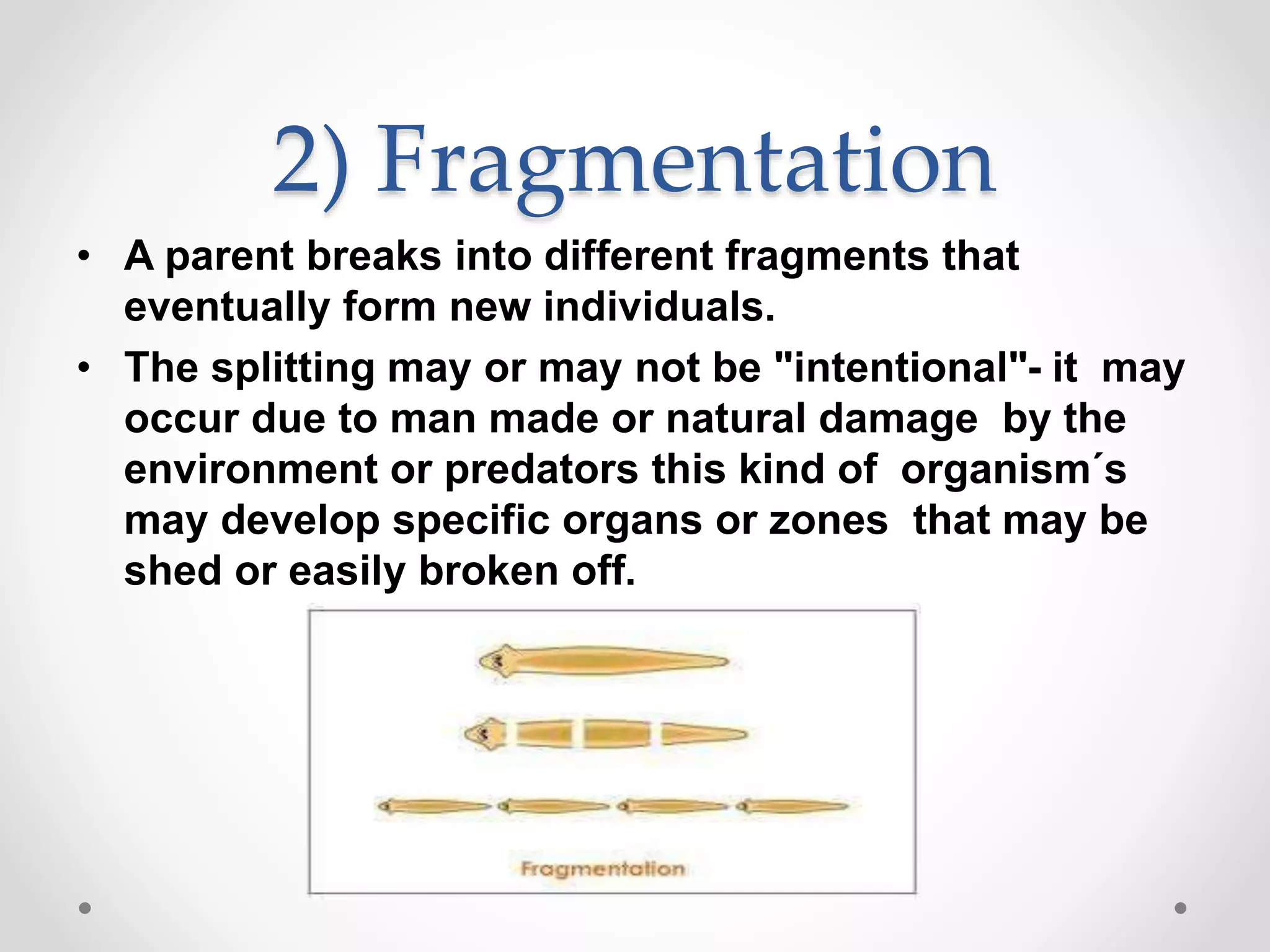 Asexual reproduction.pptx