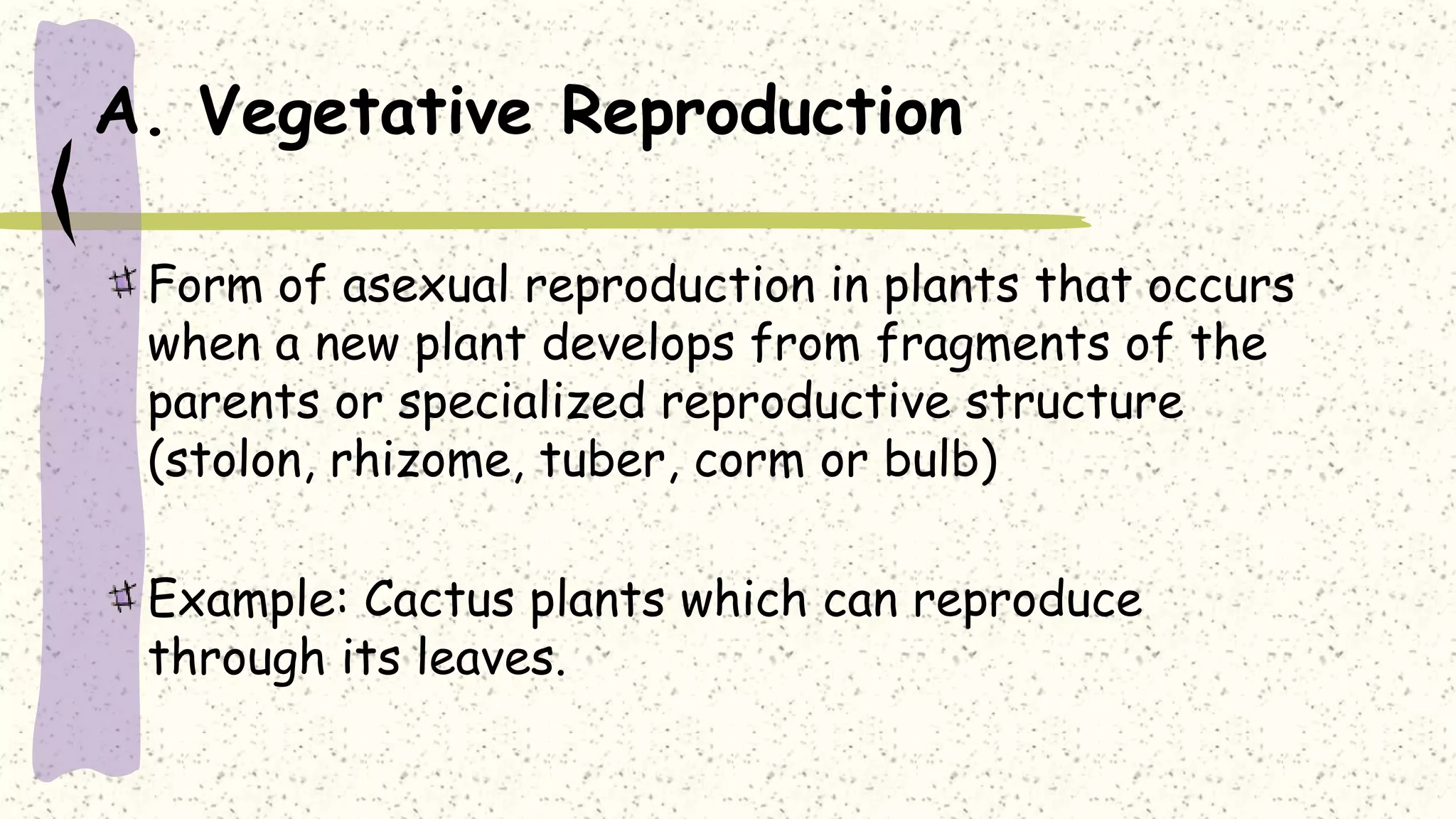 asexual Reproduction.pptx