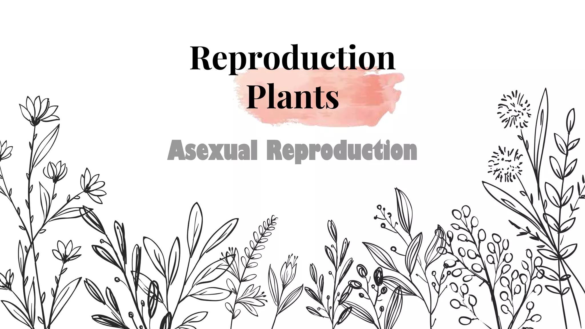 Asexual Reproduction.pptx