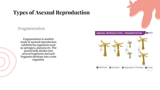 Asexual Reproduction.pptx