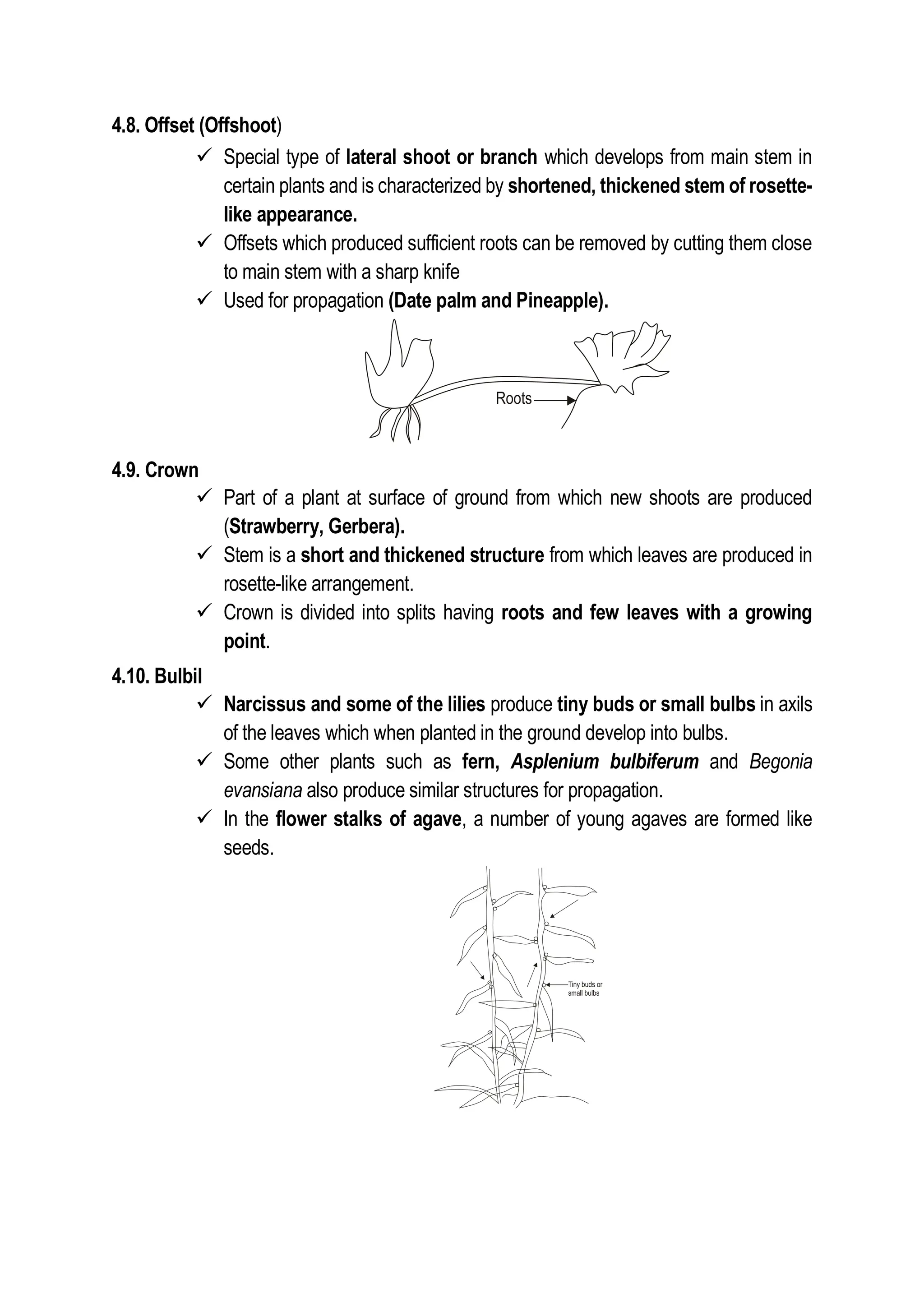 Asexual reproduction.pdf/K. VANANGAMUDI/SEED SCIENCE & TECHNOLOGY | PDF