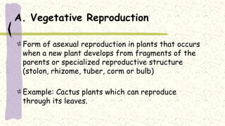 asexual Reproduction Grade 7 - quarter 2 | PPT