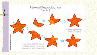 asexual Reproduction Grade 7 - quarter 2 | PPTX