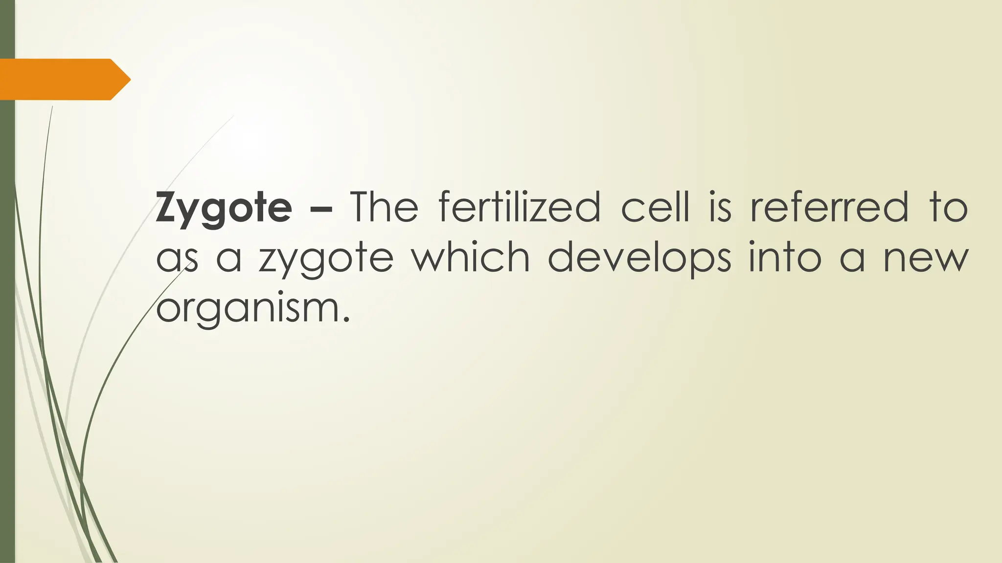 Asexual Reproduction For Grade Seven Learners Pptx