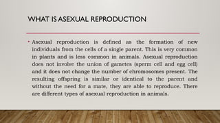 ASEXUAL REPRODUCTION used in my cot.pptx