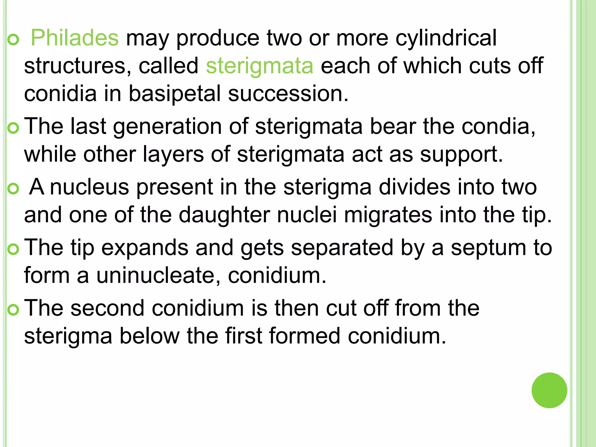 Asexual reproduction in aspergillus | PPTX