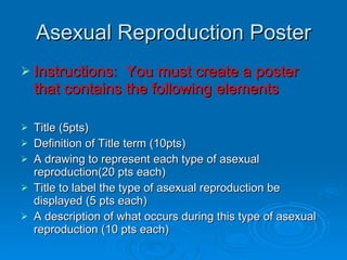 Asexual Reproduction (1) | PPT