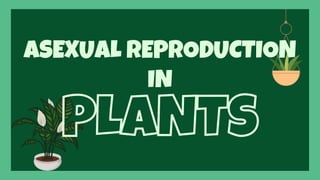 Asexual reproduction in Plants - Science Grade 4 | PDF