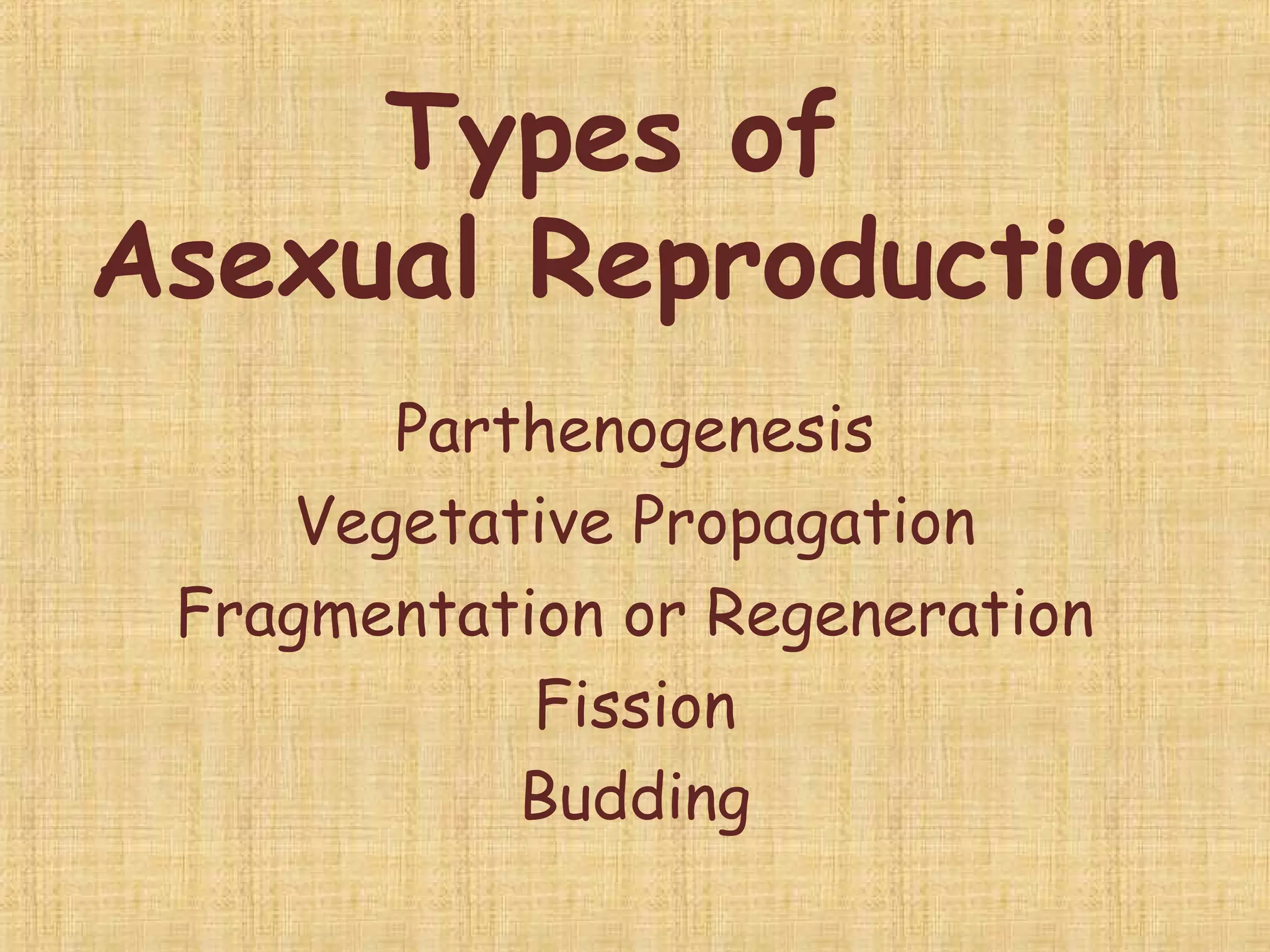Asexual Reproduction | PPT