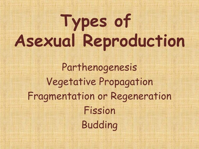 Asexual Reproduction | PPT