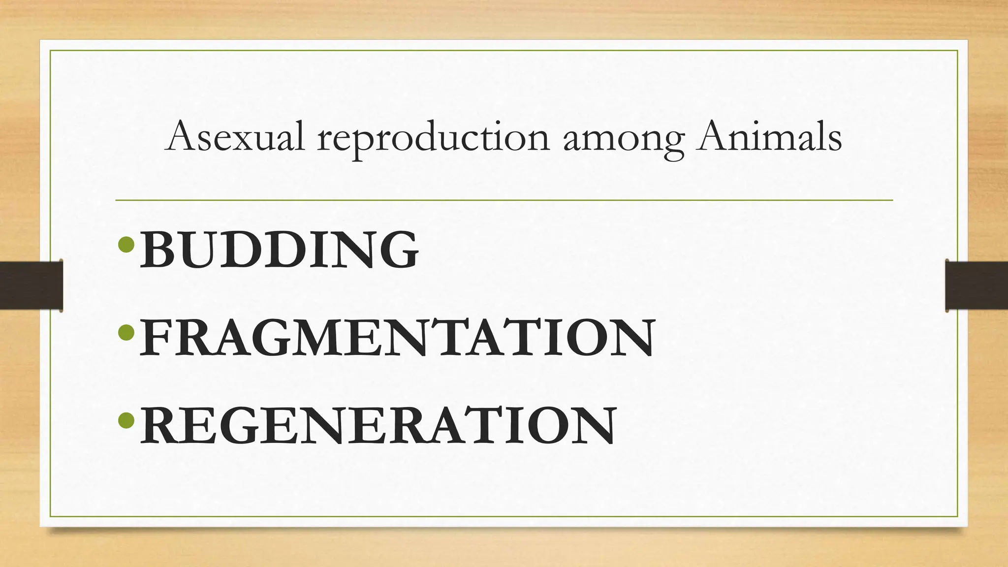 ASEXUAL REPRODUCTION AMONG ANIMALS.pptx