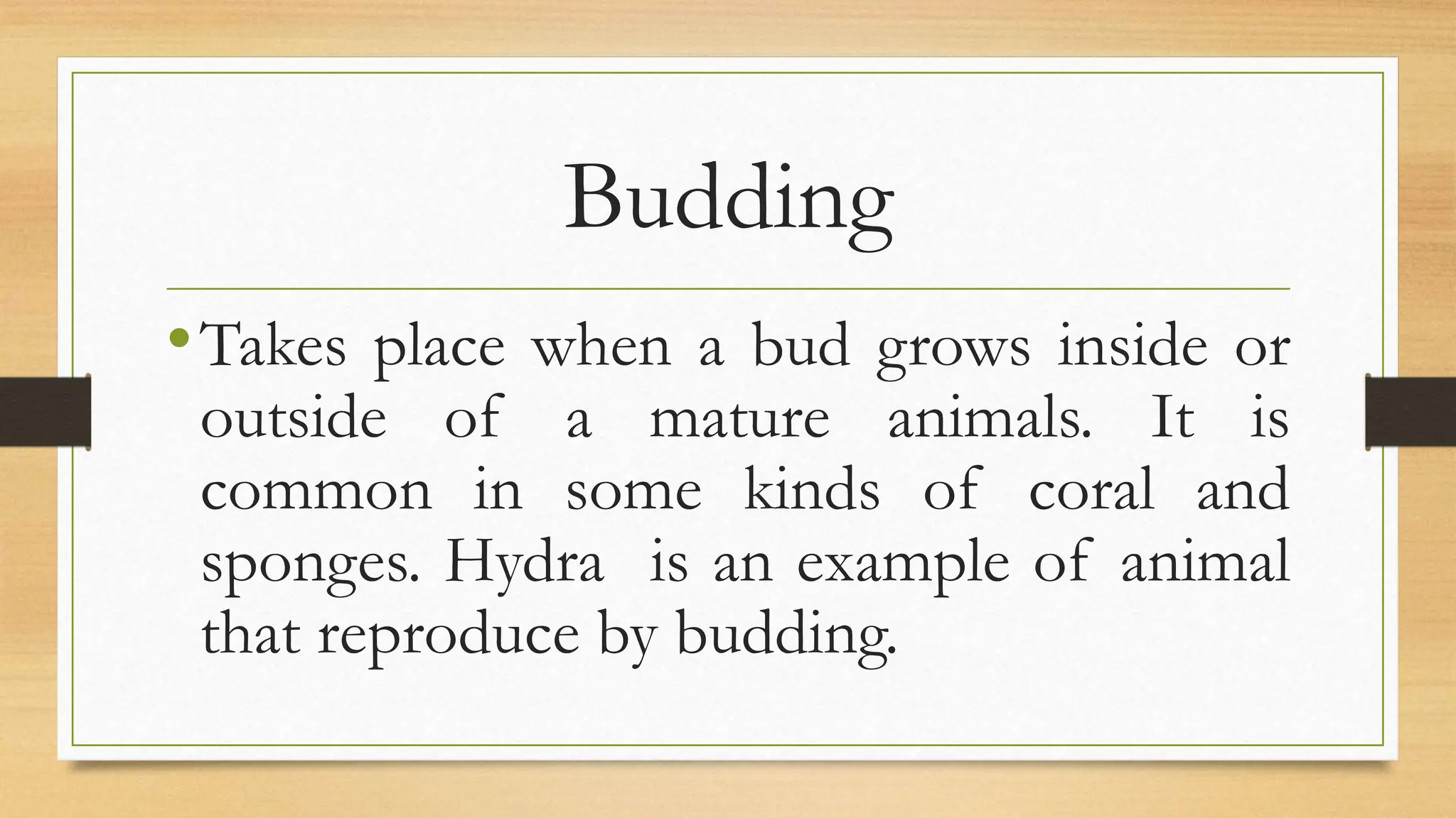 ASEXUAL REPRODUCTION AMONG ANIMALS.pptx | Biological Sciences | Science