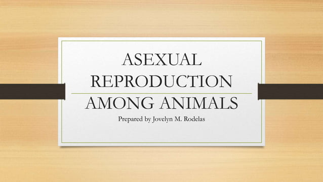 ASEXUAL REPRODUCTION AMONG ANIMALS.pptx