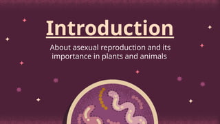 asexual reproduction class 10th science .pptx