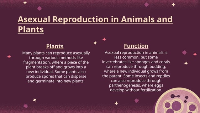 asexual reproduction class 10th science .pptx