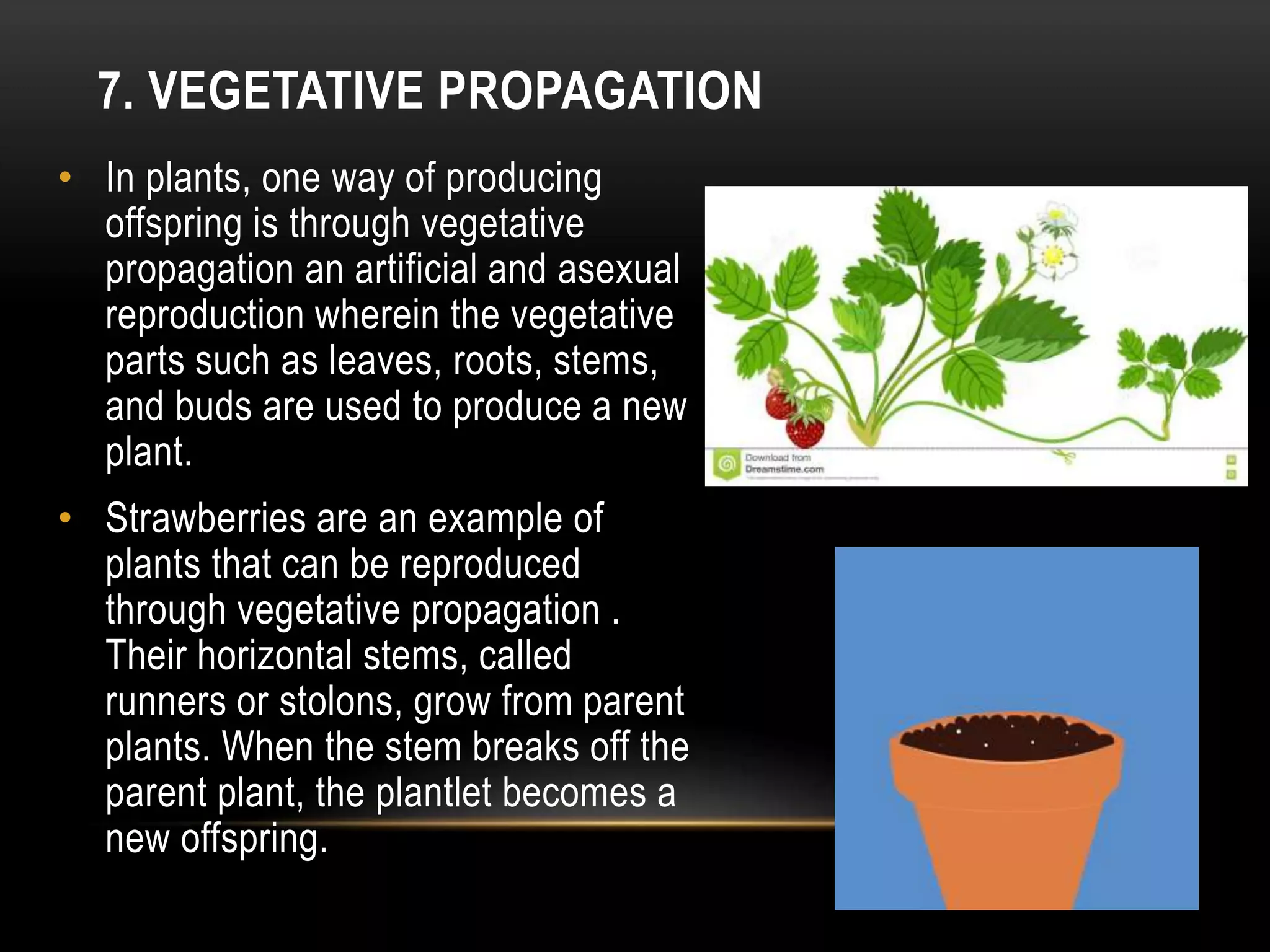 Asexual reproduction grade 7.pptx