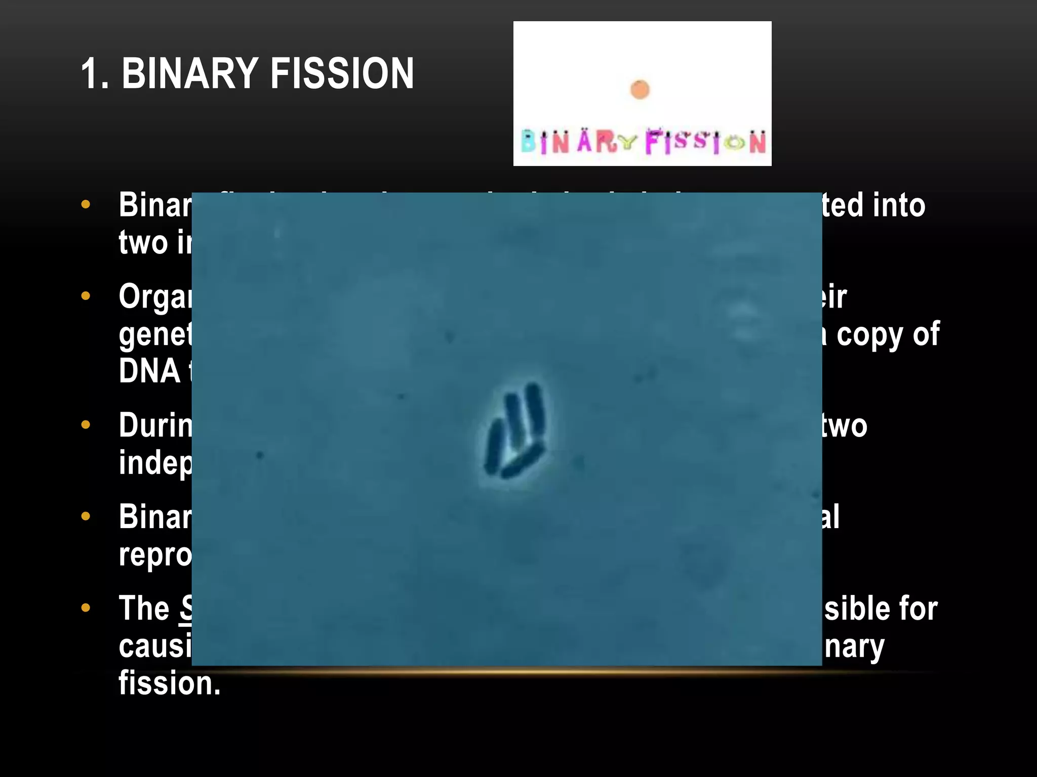 Asexual reproduction grade 7.pptx
