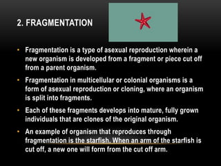 Asexual reproduction grade 7.pptx