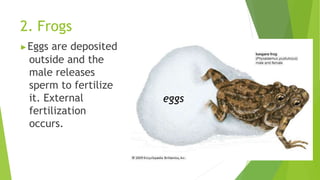 Asexual reproduction in animals.pptx