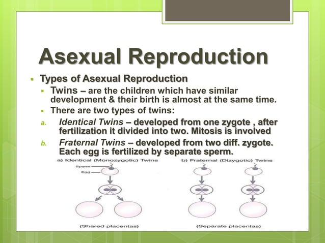 Asexual Reproduction in Animals (Quick Review) | PPT | Infertility ...