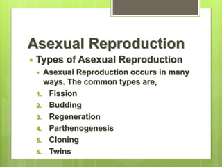 Asexual Reproduction in Animals (Quick Review) | PPT