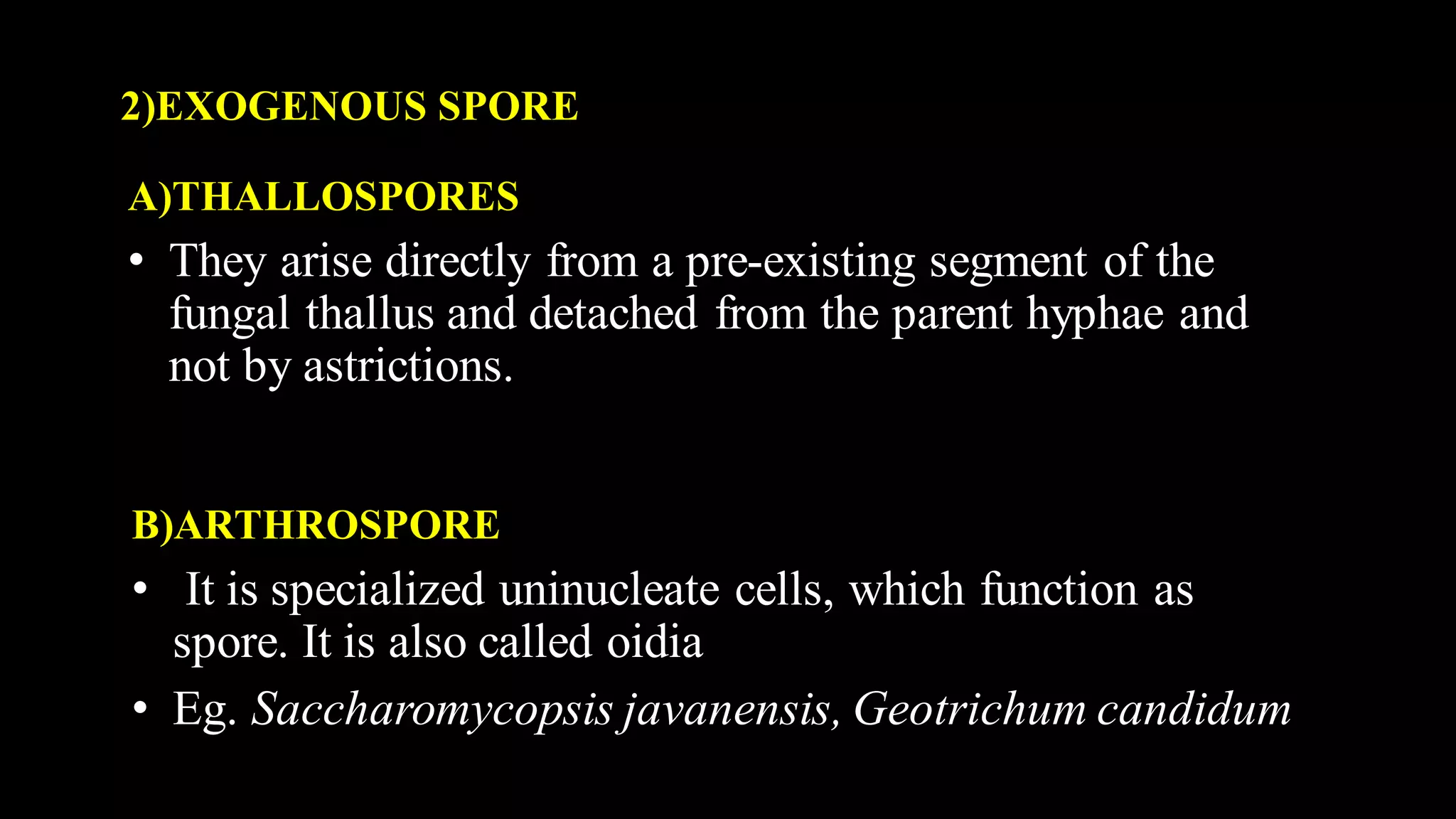 ASEXUAL REPRODUCTION IN FUNGI.pdf