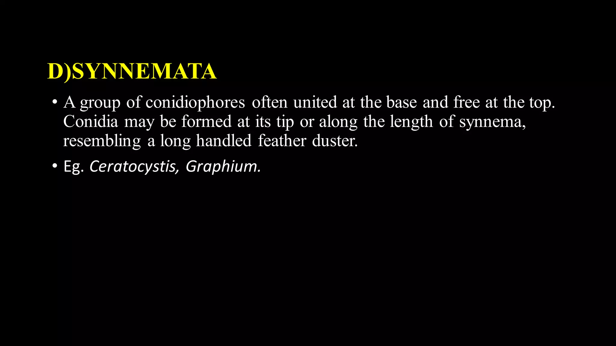 ASEXUAL REPRODUCTION IN FUNGI.pdf